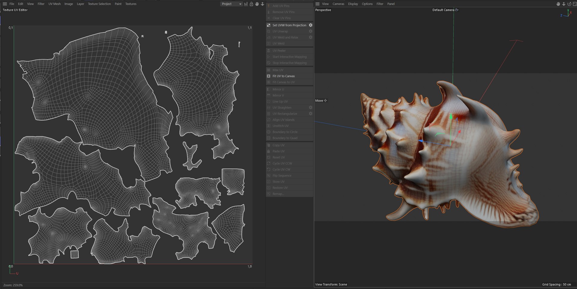 3D Conch Shell V11 Model - TurboSquid 2370740