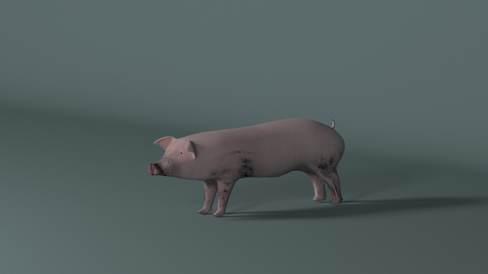 Pig model - TurboSquid 1262979