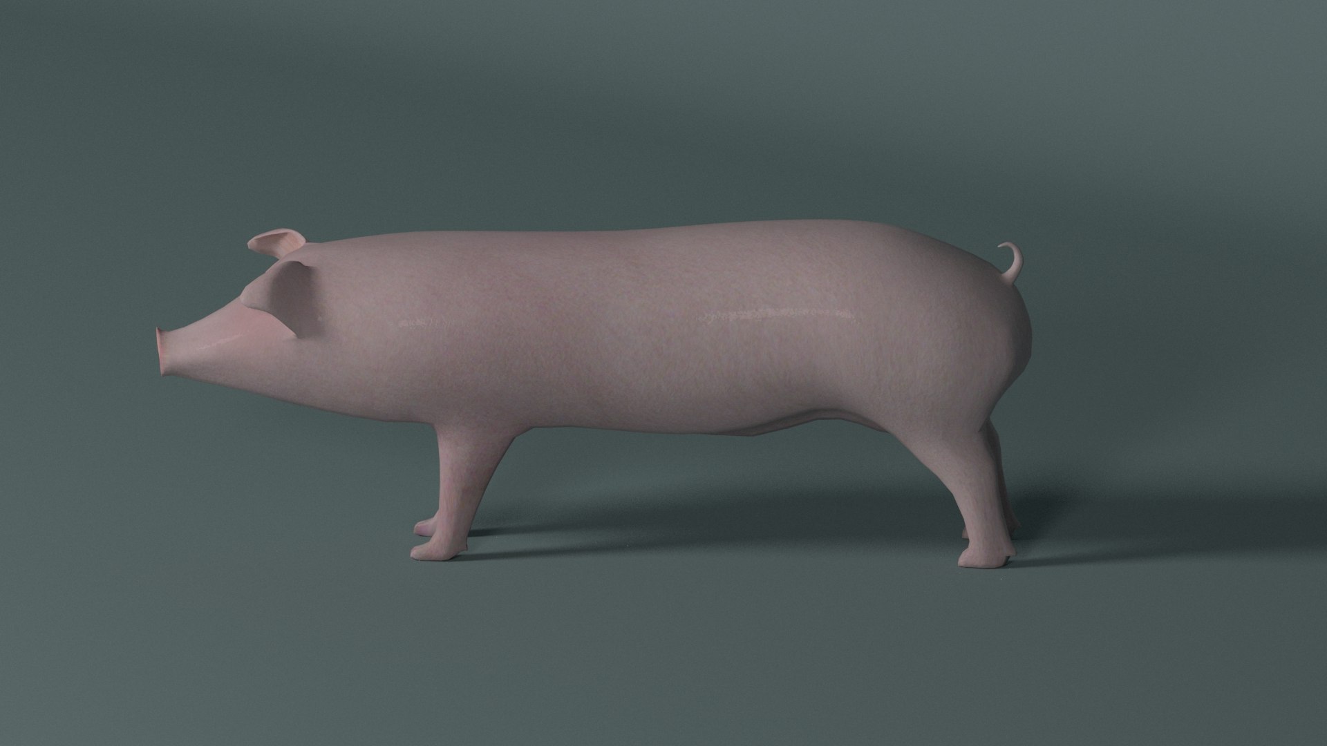 Pig model - TurboSquid 1262979