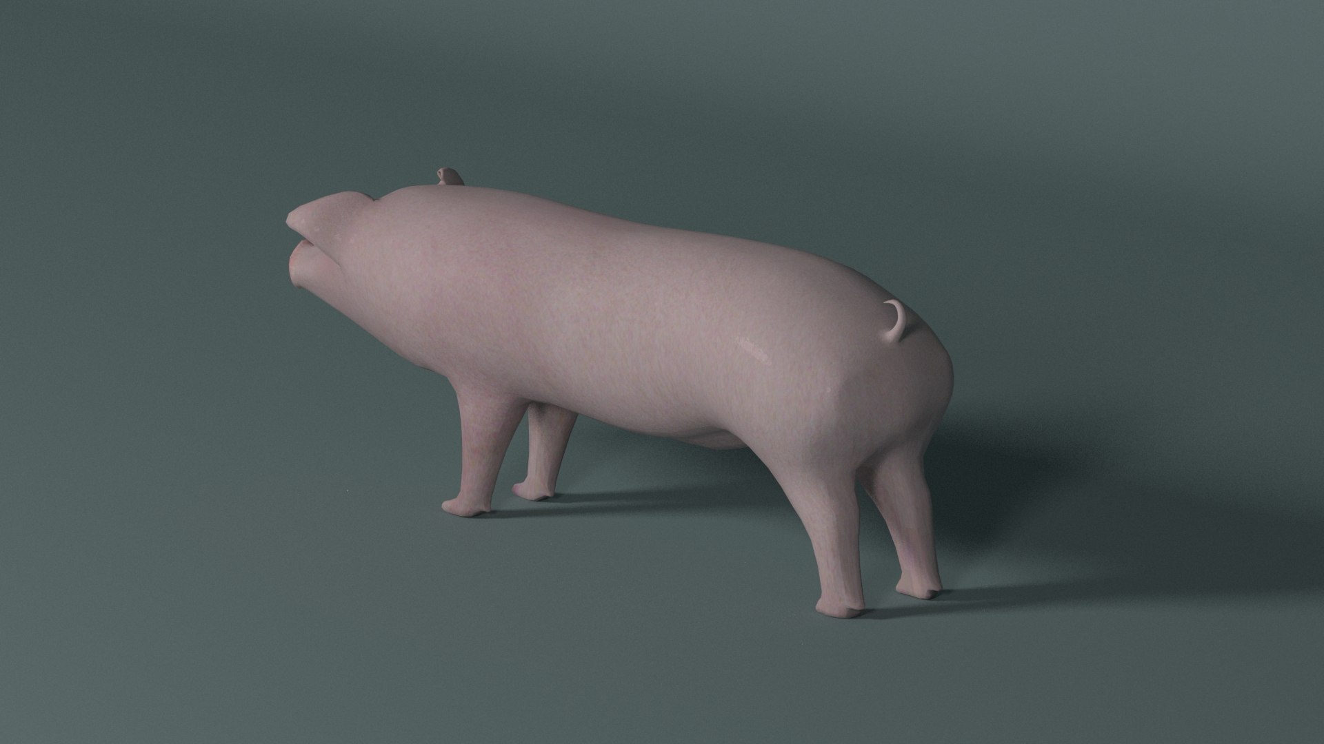 Pig model - TurboSquid 1262979