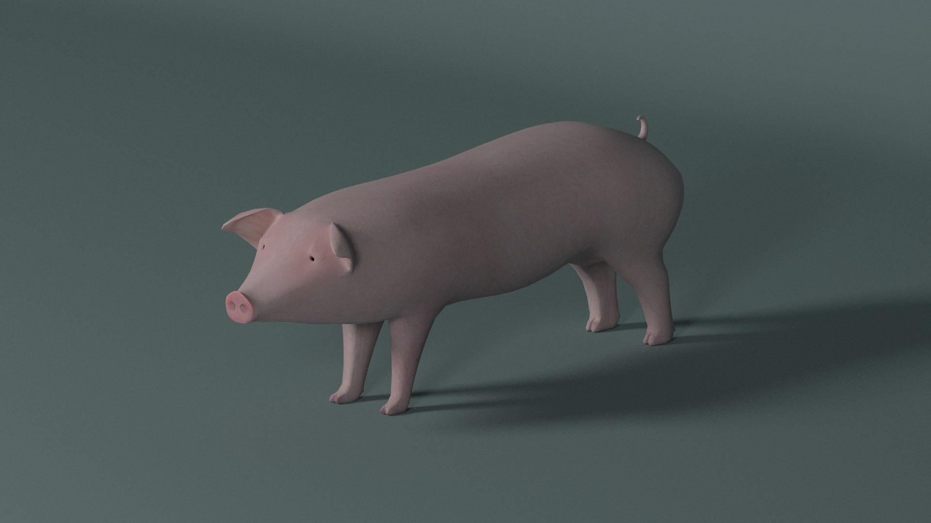 Pig model - TurboSquid 1262979
