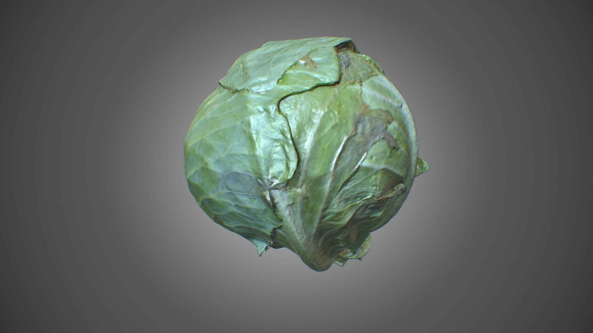 3D Cabbage Pbr - TurboSquid 1460482