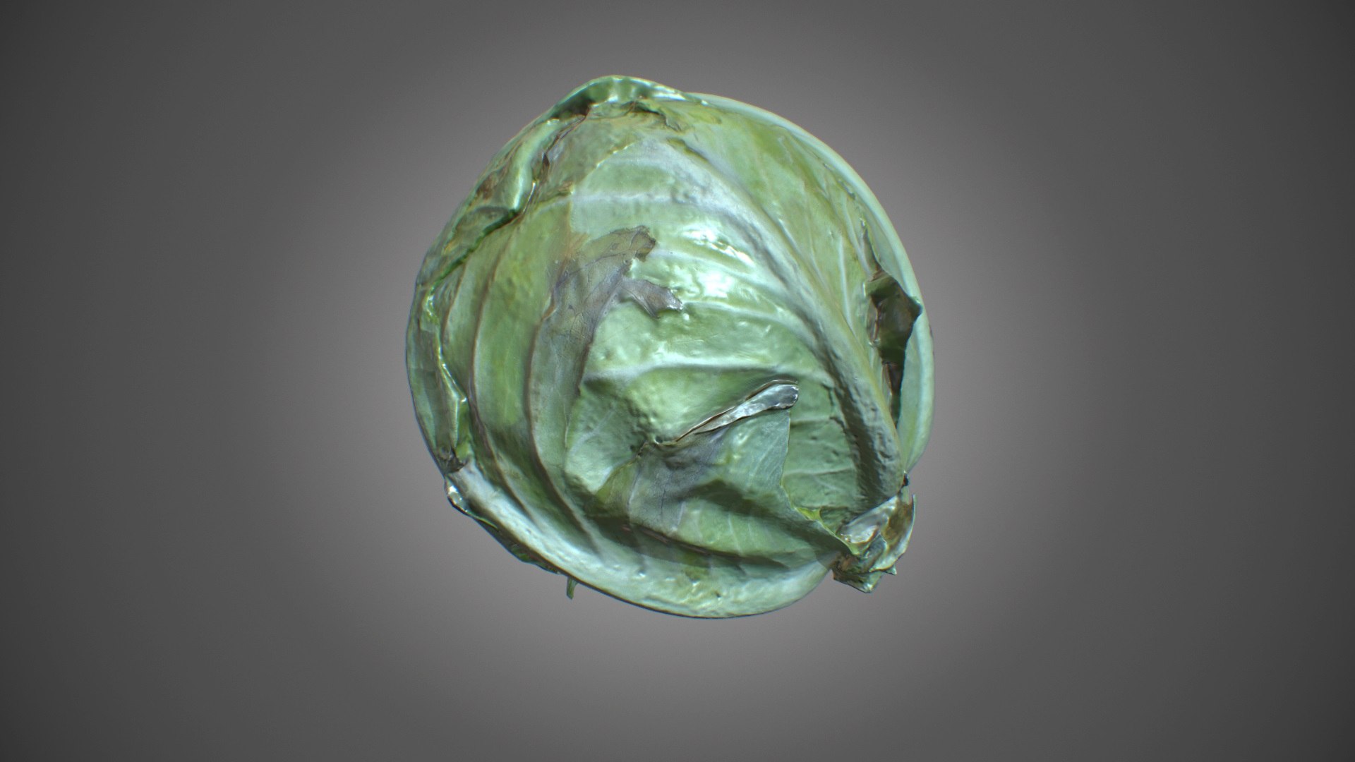 3D Cabbage Pbr - TurboSquid 1460482