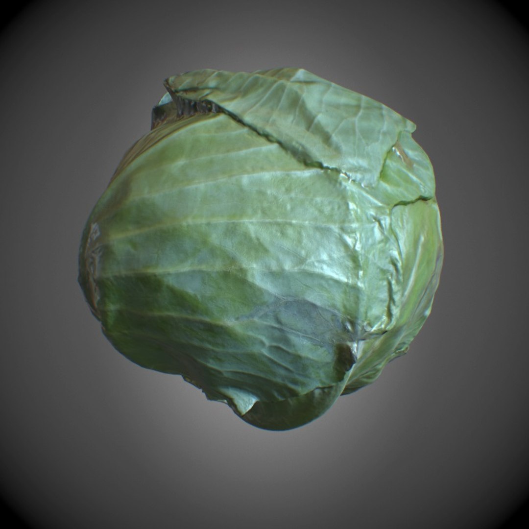3D Cabbage Pbr - TurboSquid 1460482