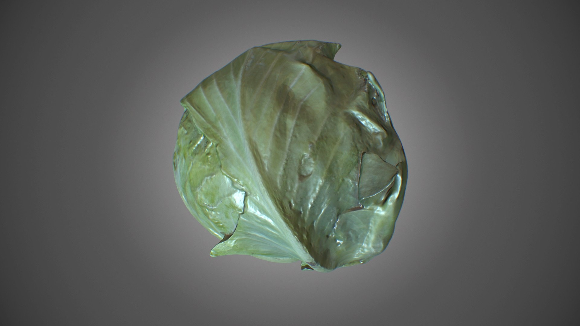 3D Cabbage Pbr - TurboSquid 1460482