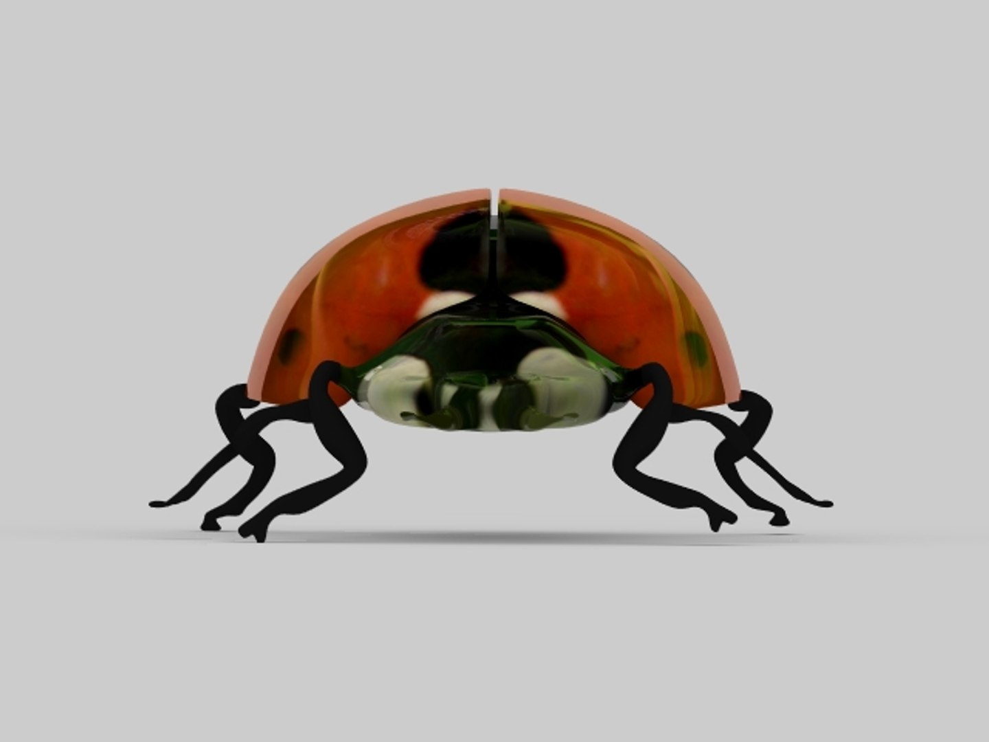 Obj Ladybird Lady