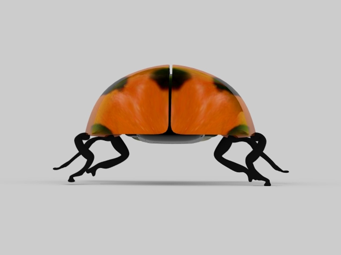Obj Ladybird Lady