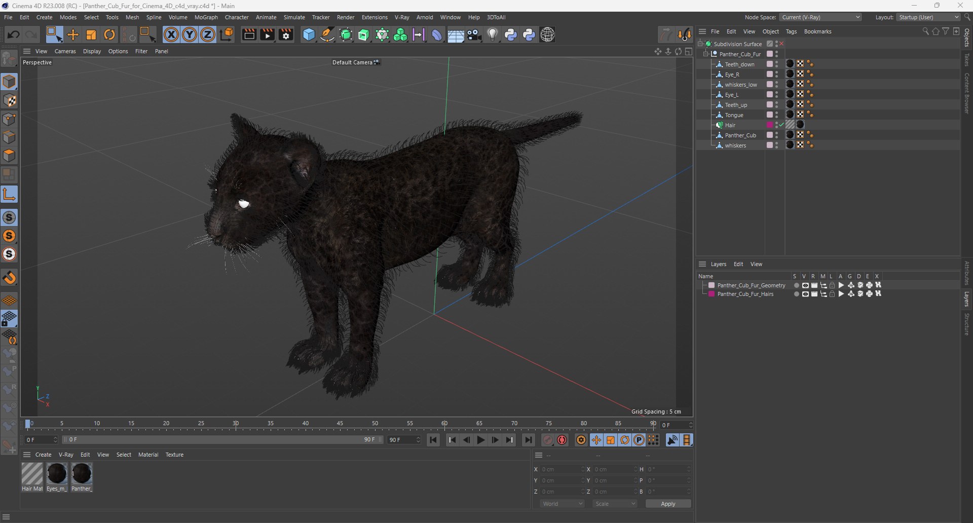 3D Model Panther Cub Fur For Cinema 4D - TurboSquid 2403667