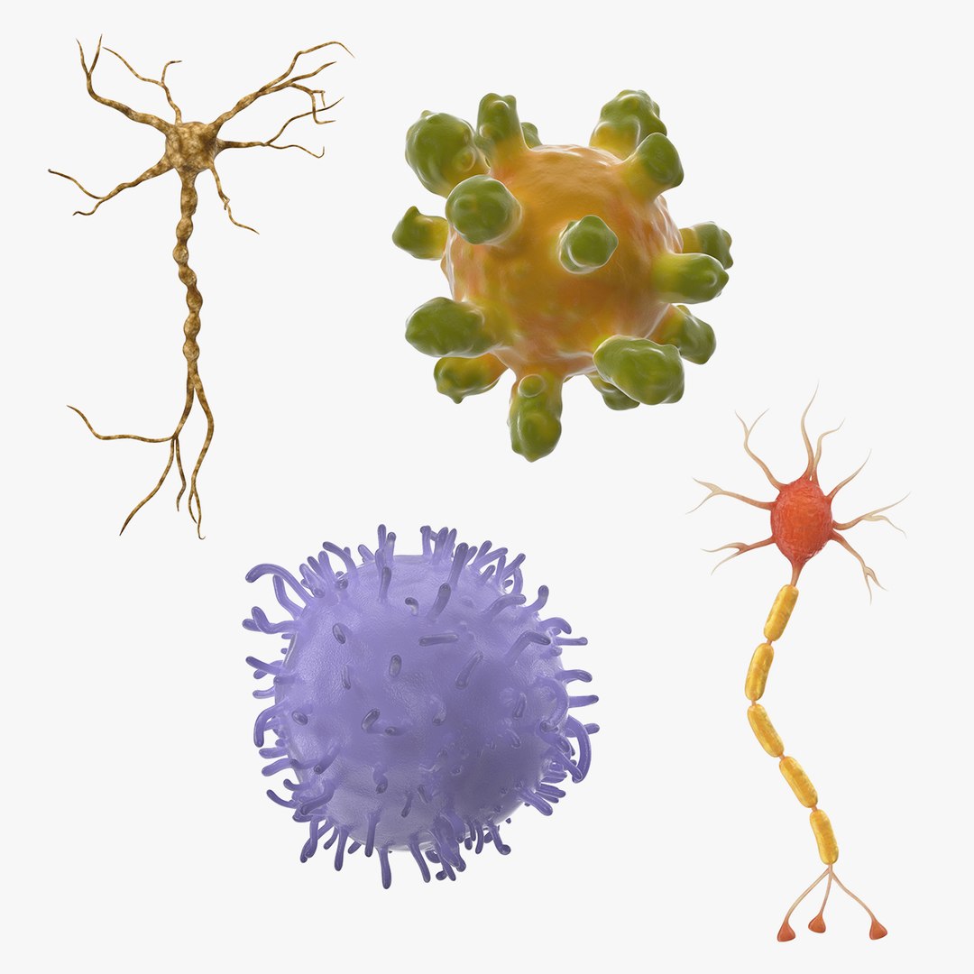 3D model microscopic anatomy - TurboSquid 1362743