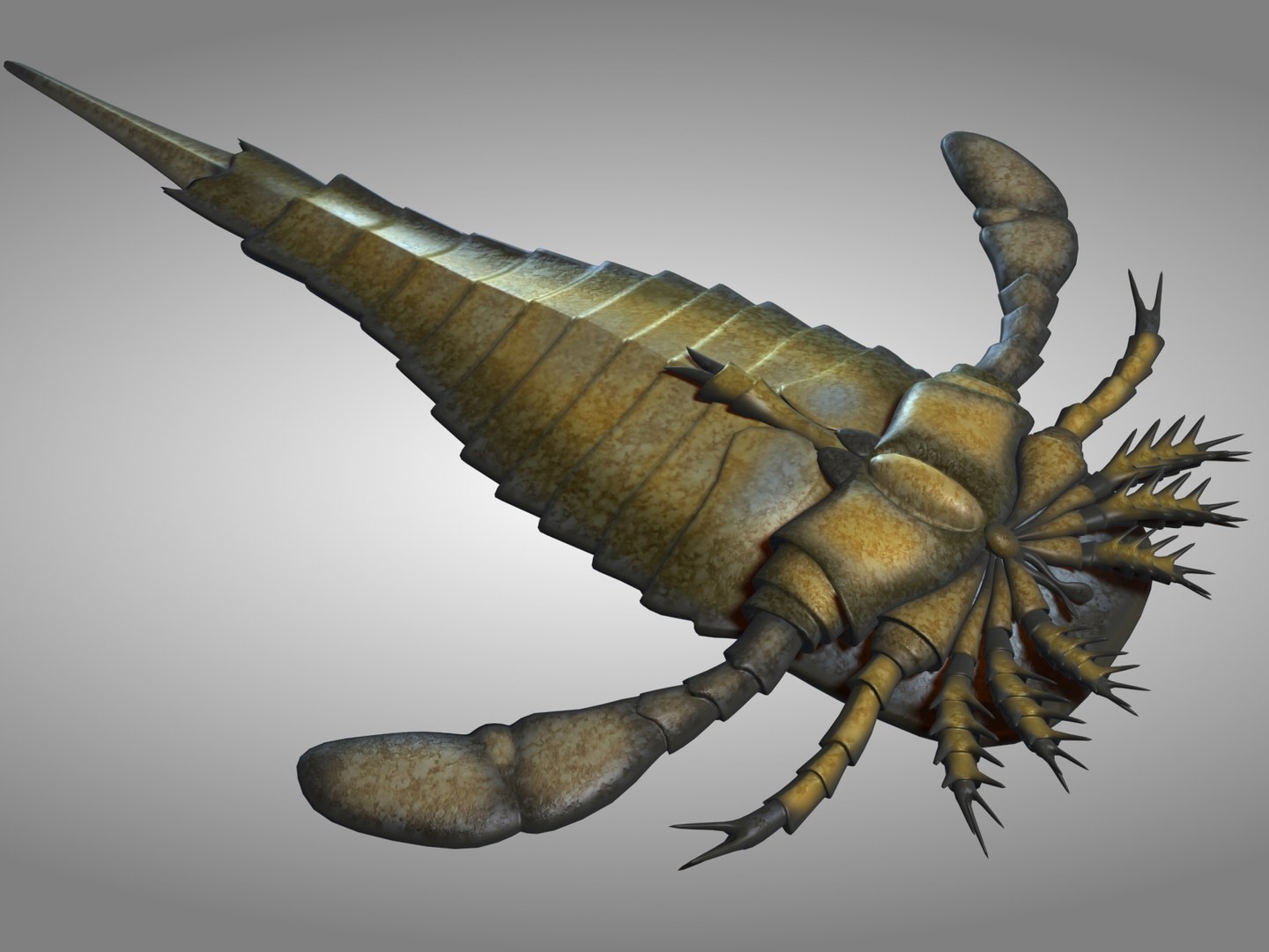 3d Model Sea Scorpion Scorpio