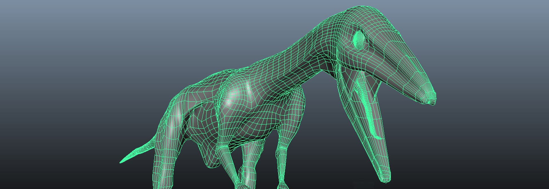 Compsognathus Compy Dinosaur 3d Model
