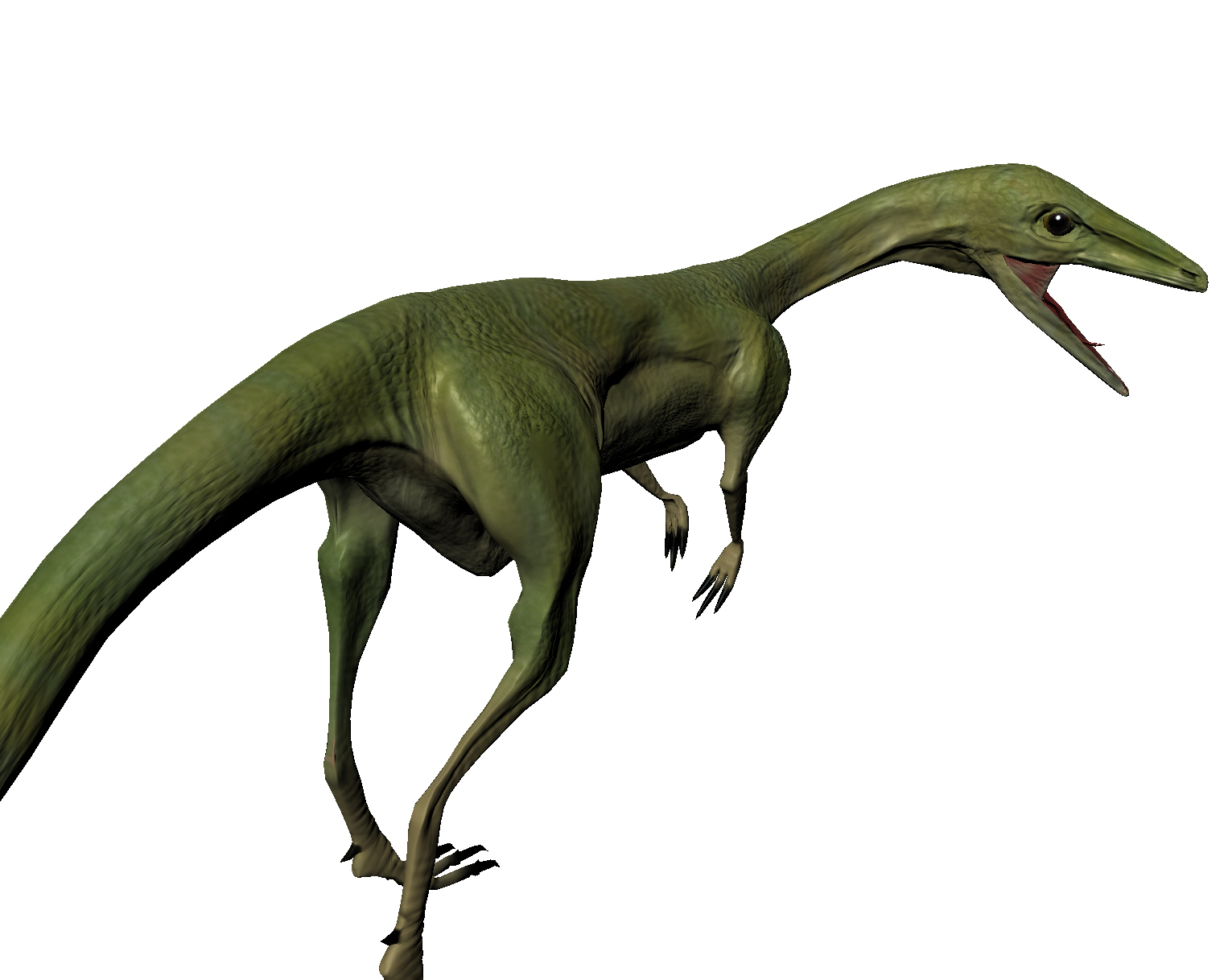 compsognathus compy dinosaur 3d model