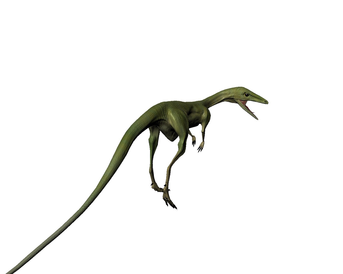 Compsognathus Compy Dinosaur 3d Model