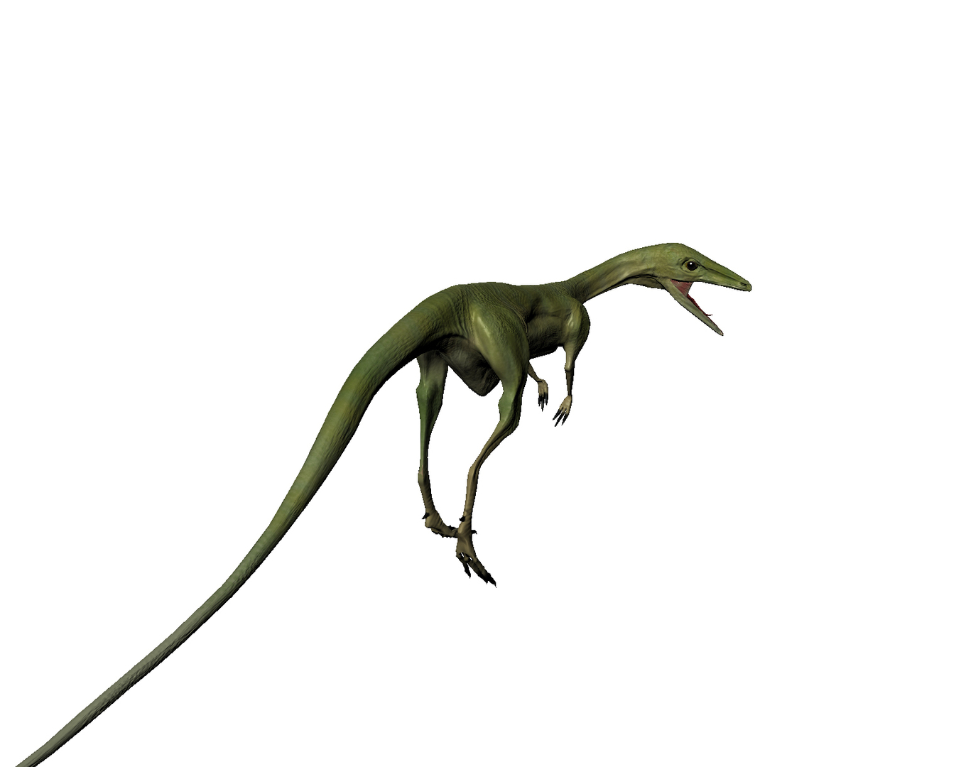 compsognathus compy dinosaur 3d model