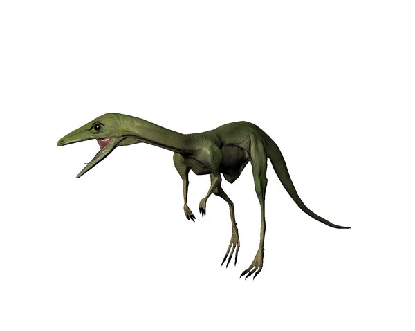 compsognathus compy dinosaur 3d model