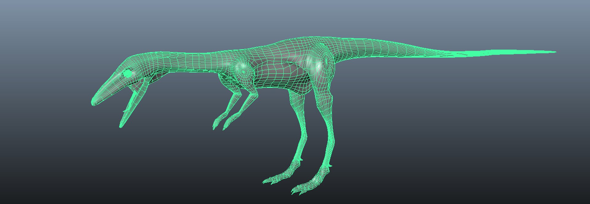 Compsognathus Compy Dinosaur 3d Model