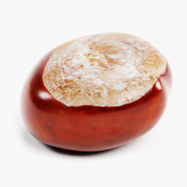 3D chestnut 1 model - TurboSquid 1338213