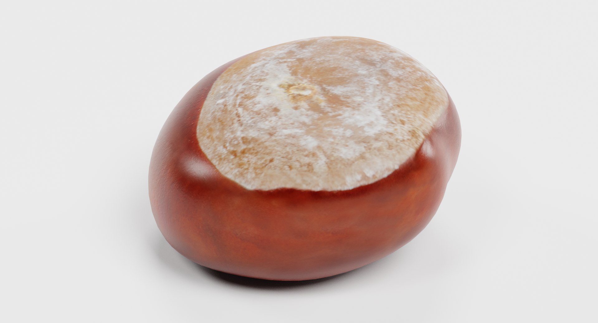 3D Chestnut 1 Model - TurboSquid 1338213