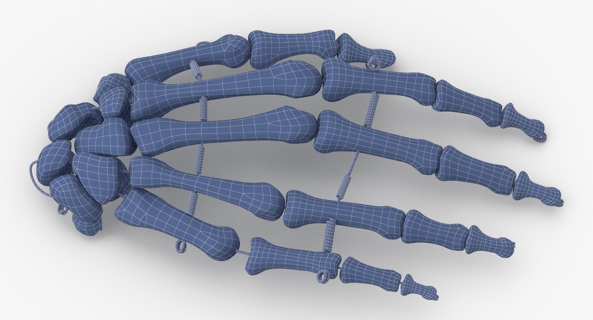 Human hand bones wire 3D model - TurboSquid 1583330