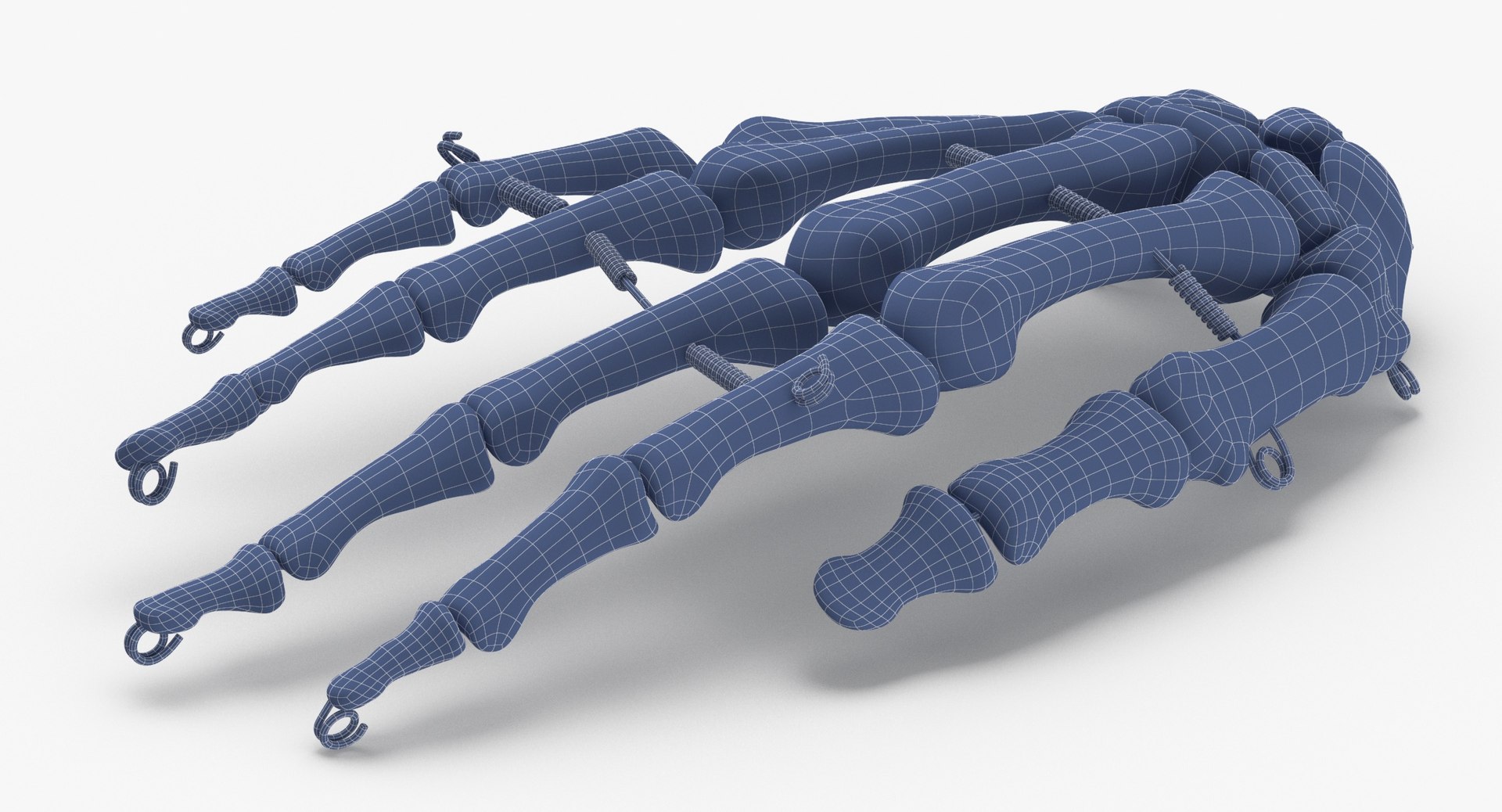Human hand bones wire 3D model - TurboSquid 1583330