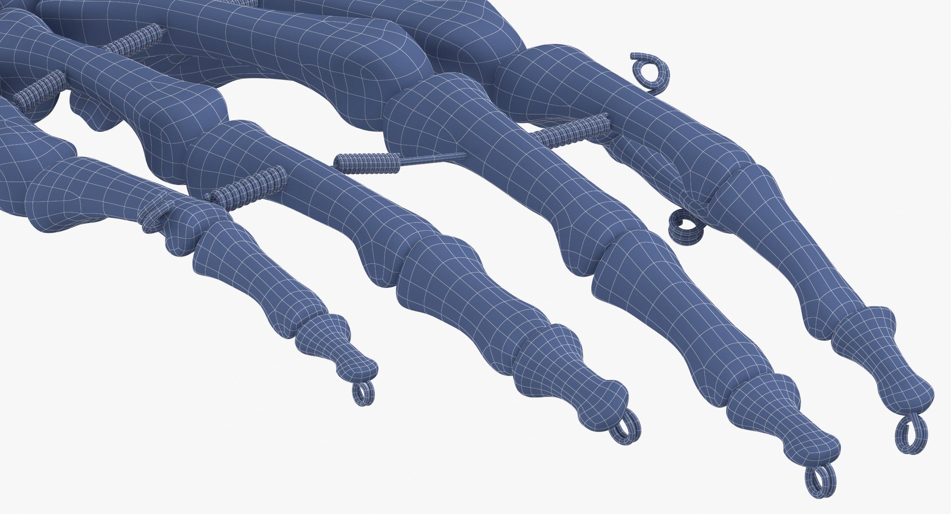 Human hand bones wire 3D model - TurboSquid 1583330