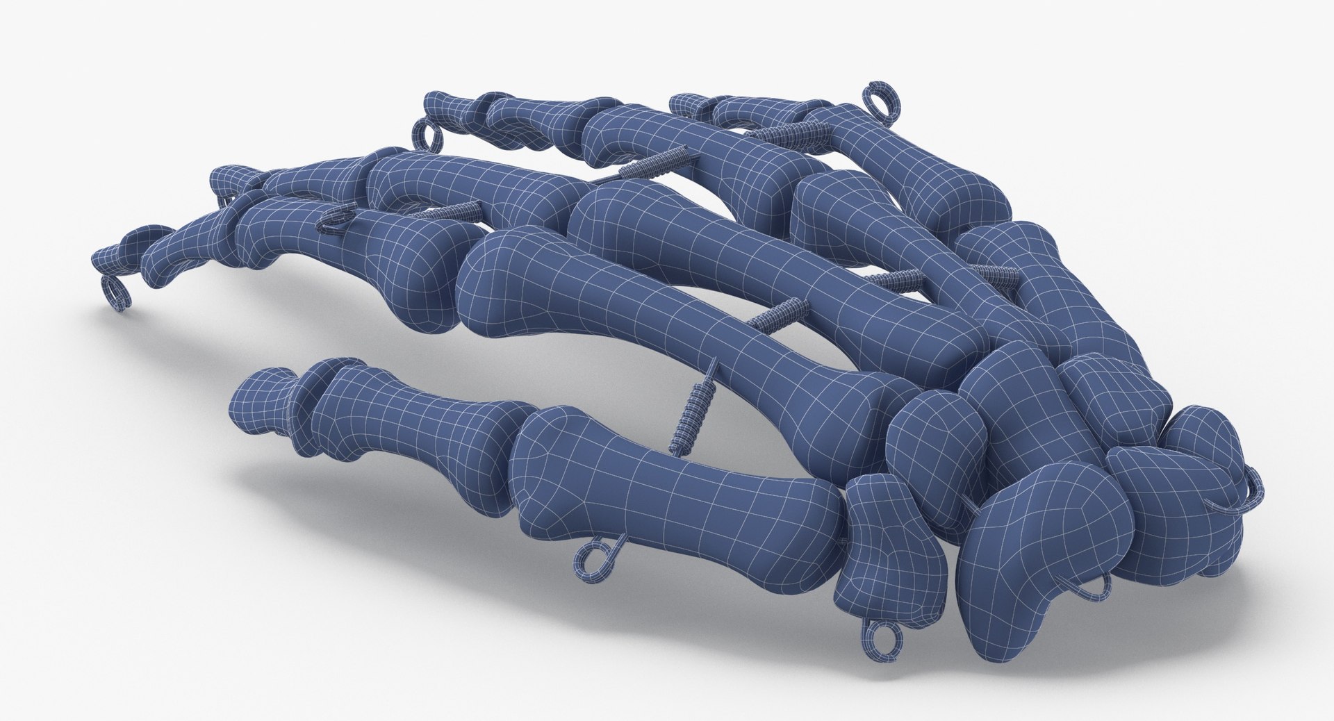 Human hand bones wire 3D model - TurboSquid 1583330