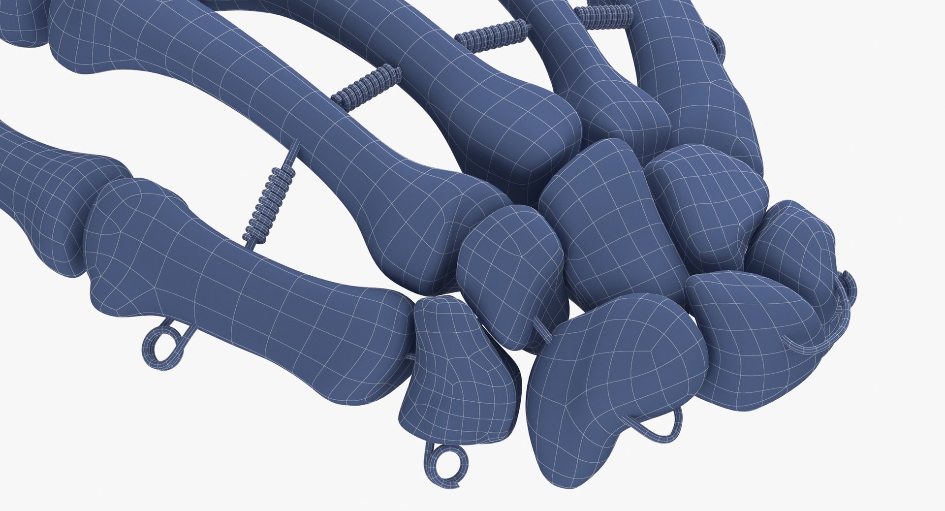 Human hand bones wire 3D model - TurboSquid 1583330