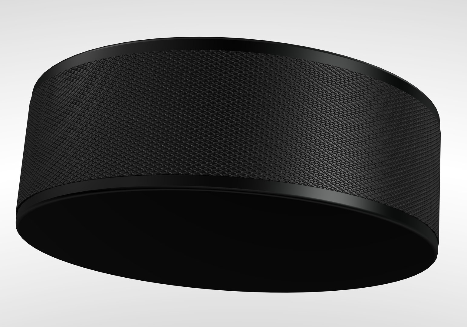 3d Hockey Puck
