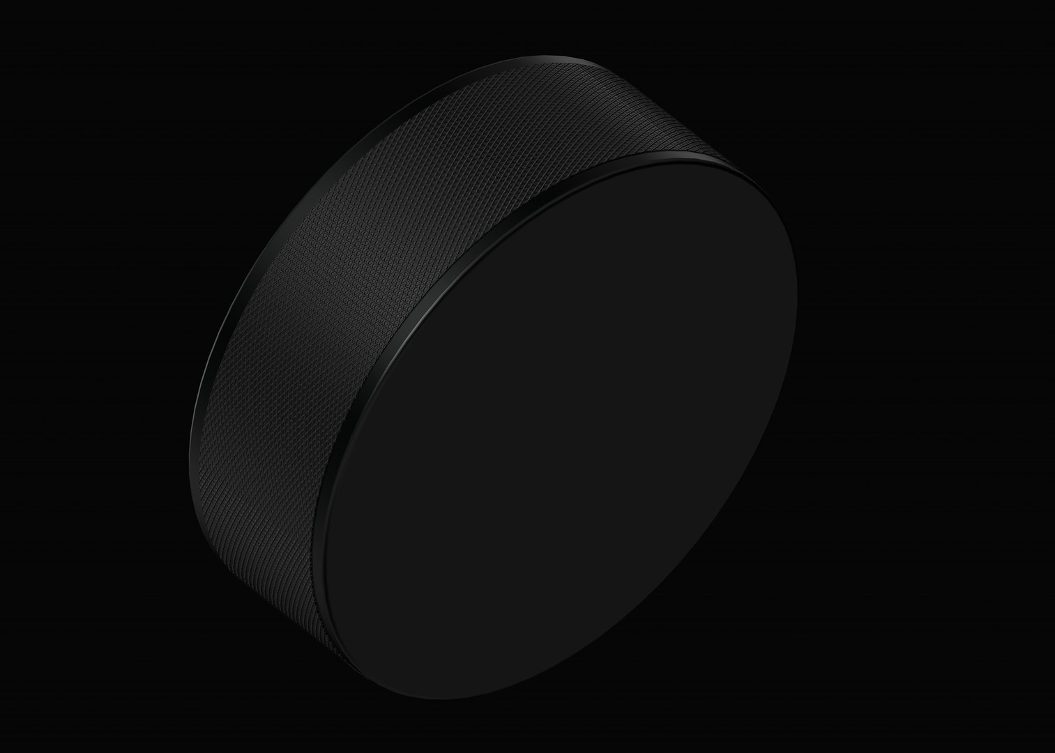 3d Hockey Puck