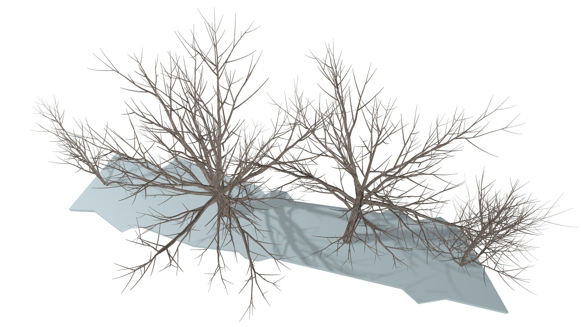 Bare Trees Low-poly R2 3D Model - TurboSquid 2063446
