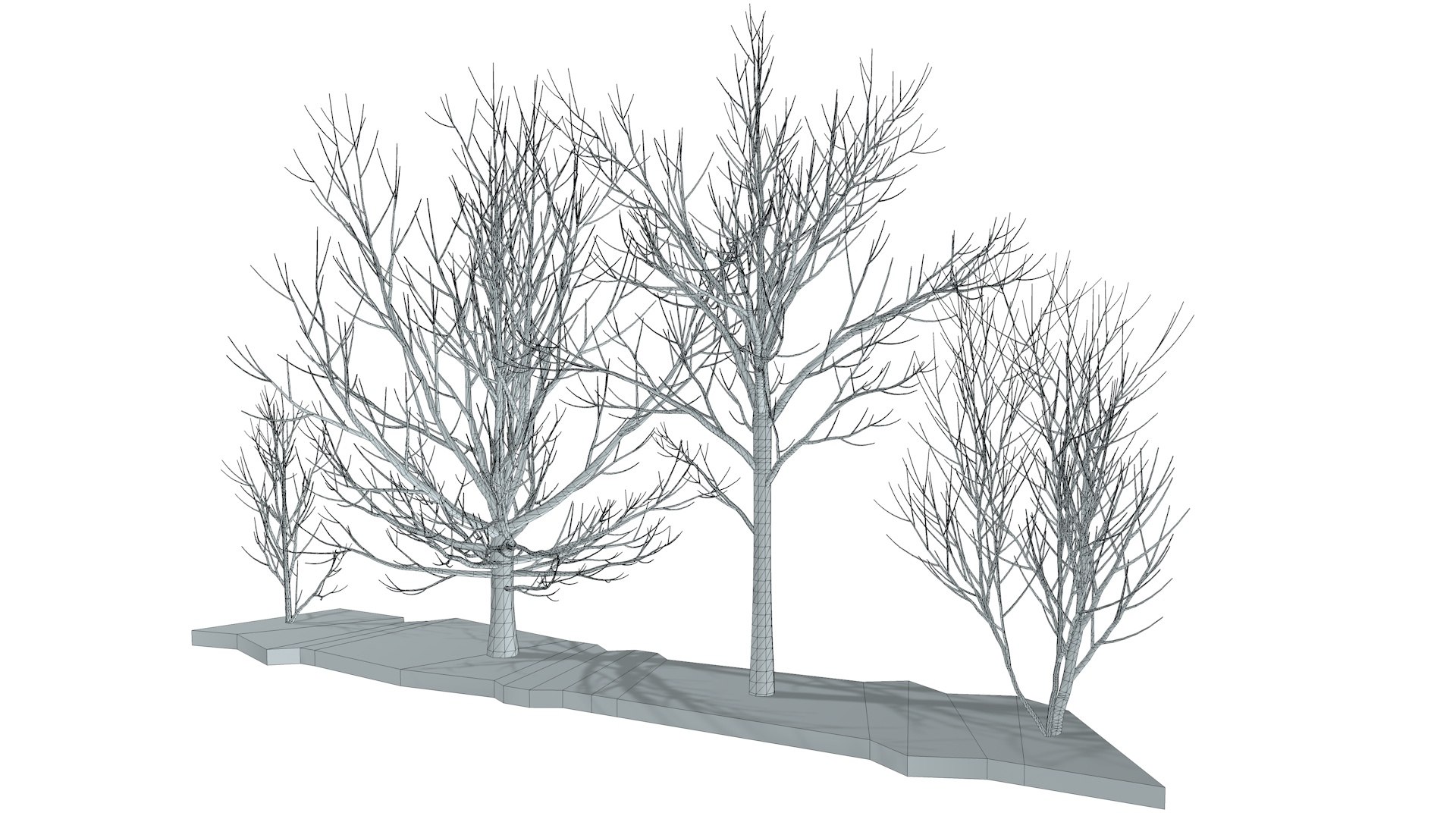 Bare Trees Low-poly R2 3D Model - TurboSquid 2063446