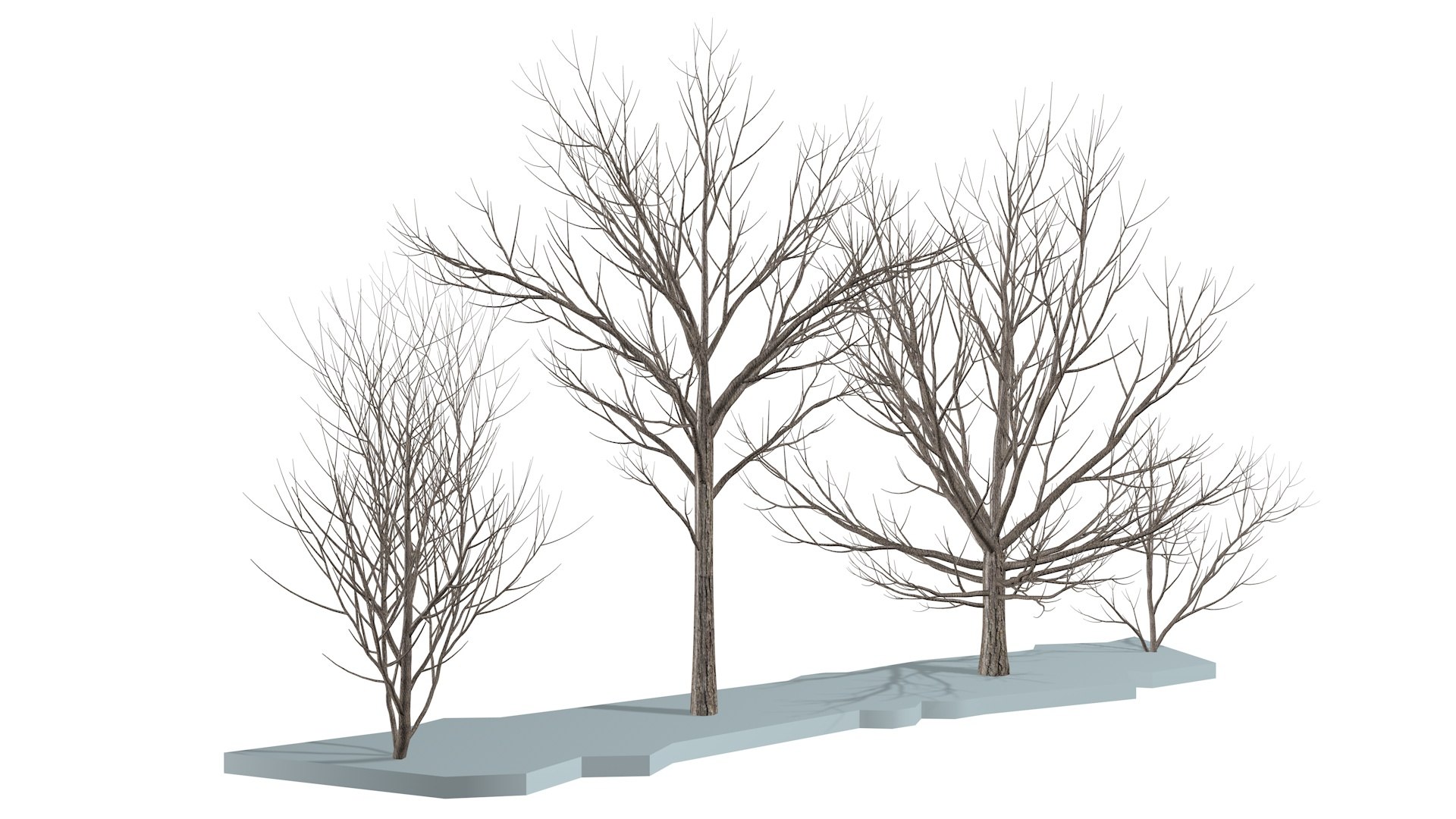 Bare Trees Low-poly R2 3D Model - TurboSquid 2063446