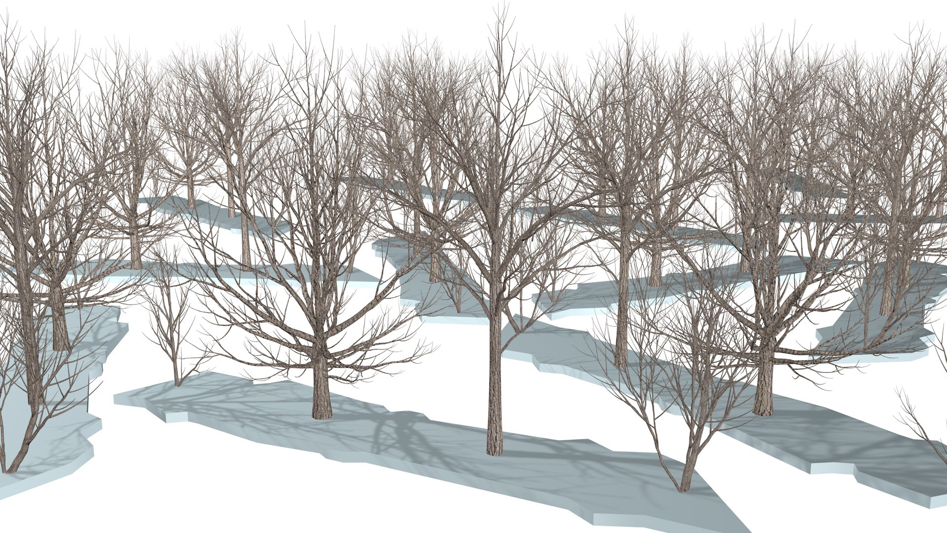 Bare Trees Low-poly R2 3D Model - TurboSquid 2063446