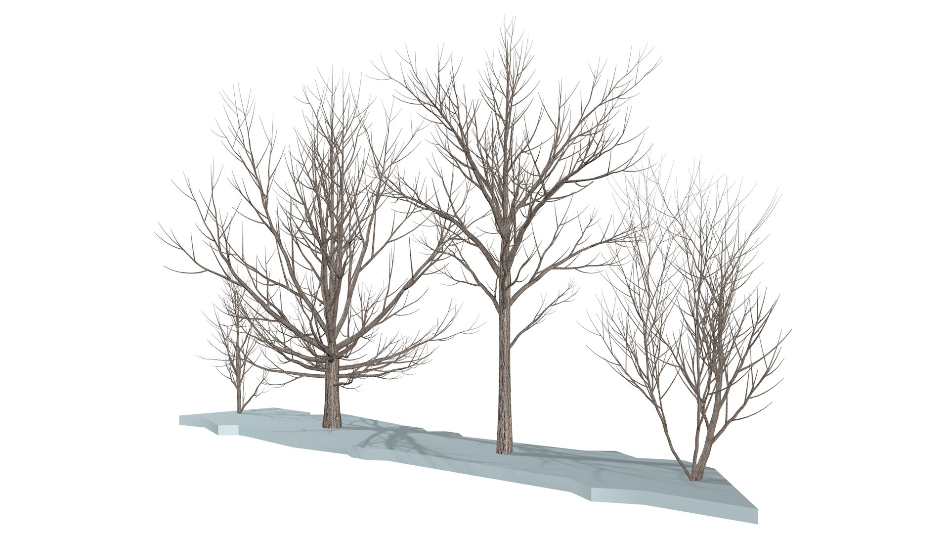 Bare Trees Low-poly R2 3D Model - TurboSquid 2063446