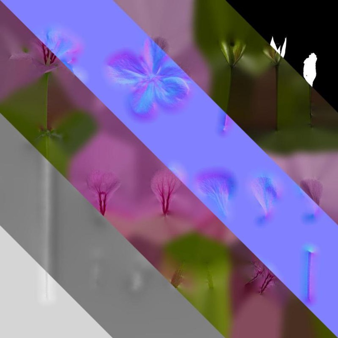 3D Anydrafts Pelargonium Hortorum Flower 01 Textures - TurboSquid 2357636