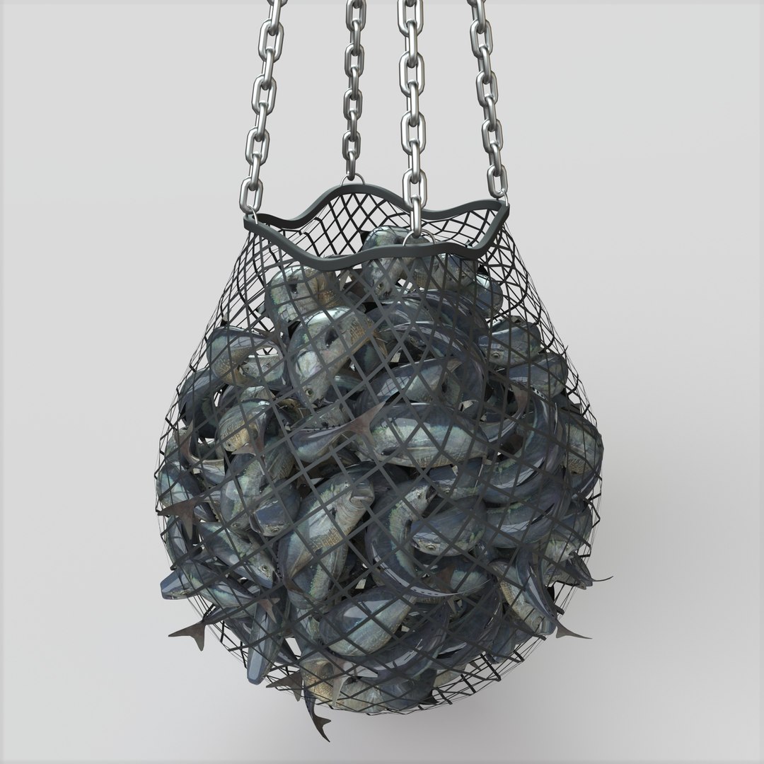 3D Fishnet - TurboSquid 1801142