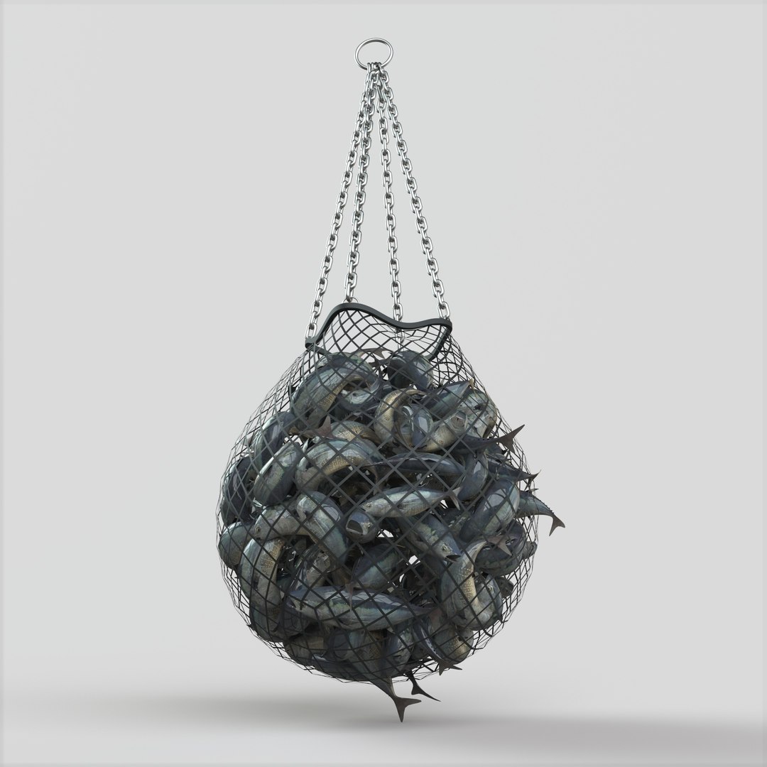 3D Fishnet - TurboSquid 1801142