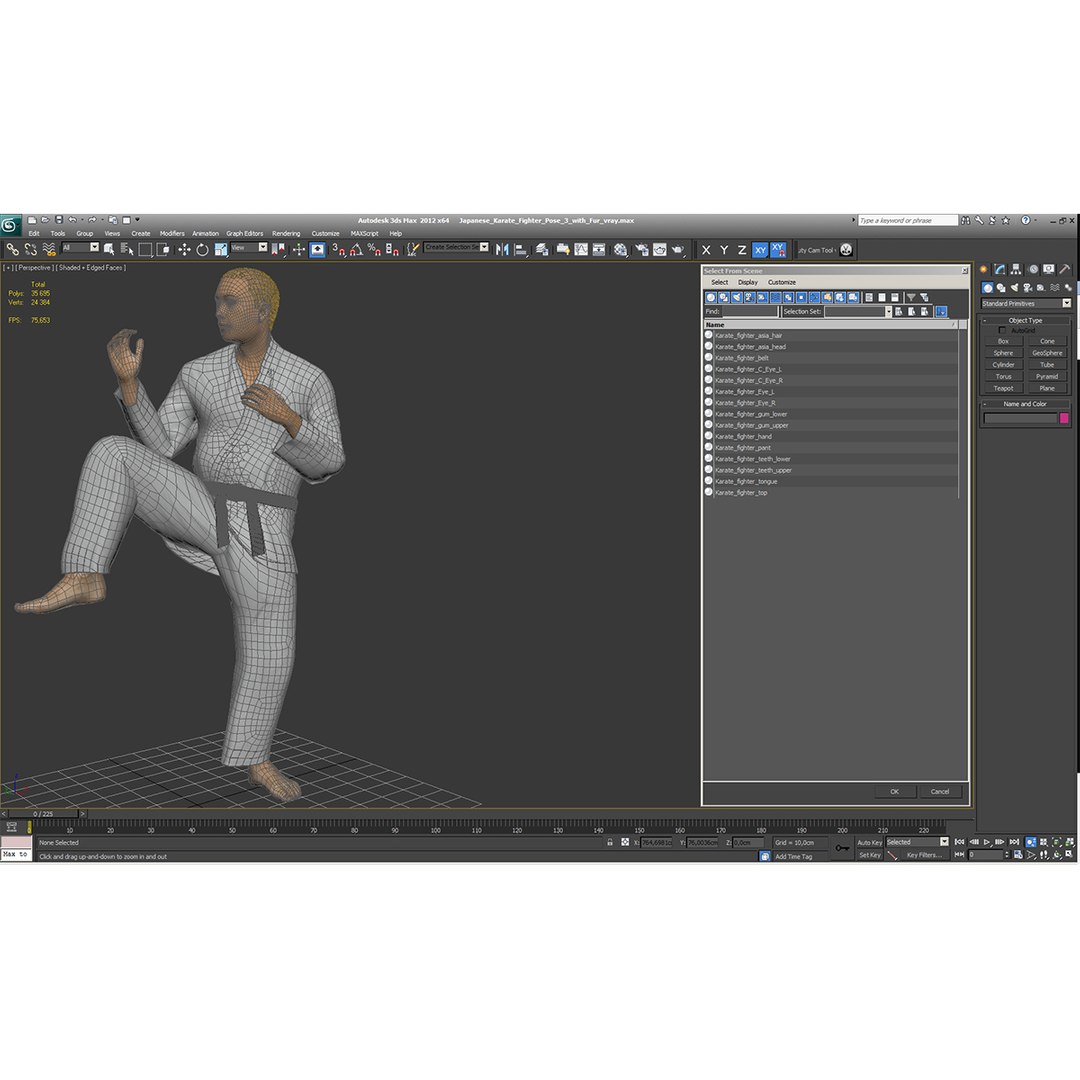 japanese karate fighter pose 3d max