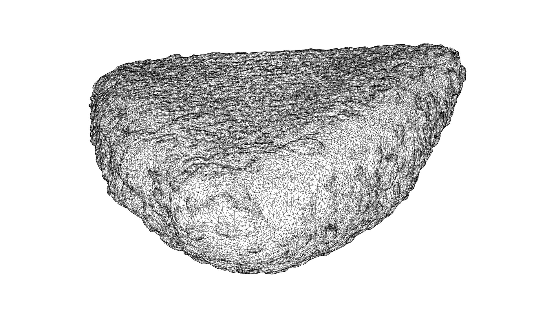 3D Photorealistic 3D Scan Of Grain Bun - TurboSquid 2301963