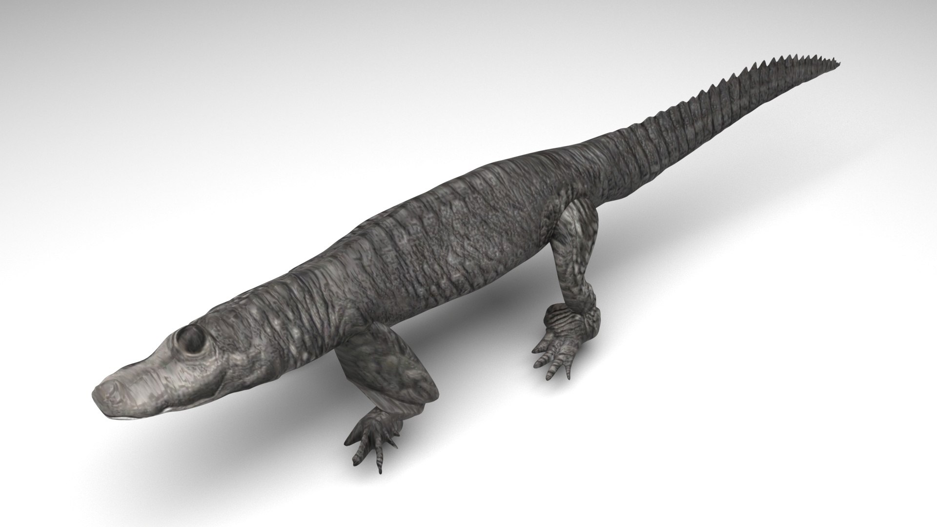 Baby Crocodile 3D Model - TurboSquid 1926709