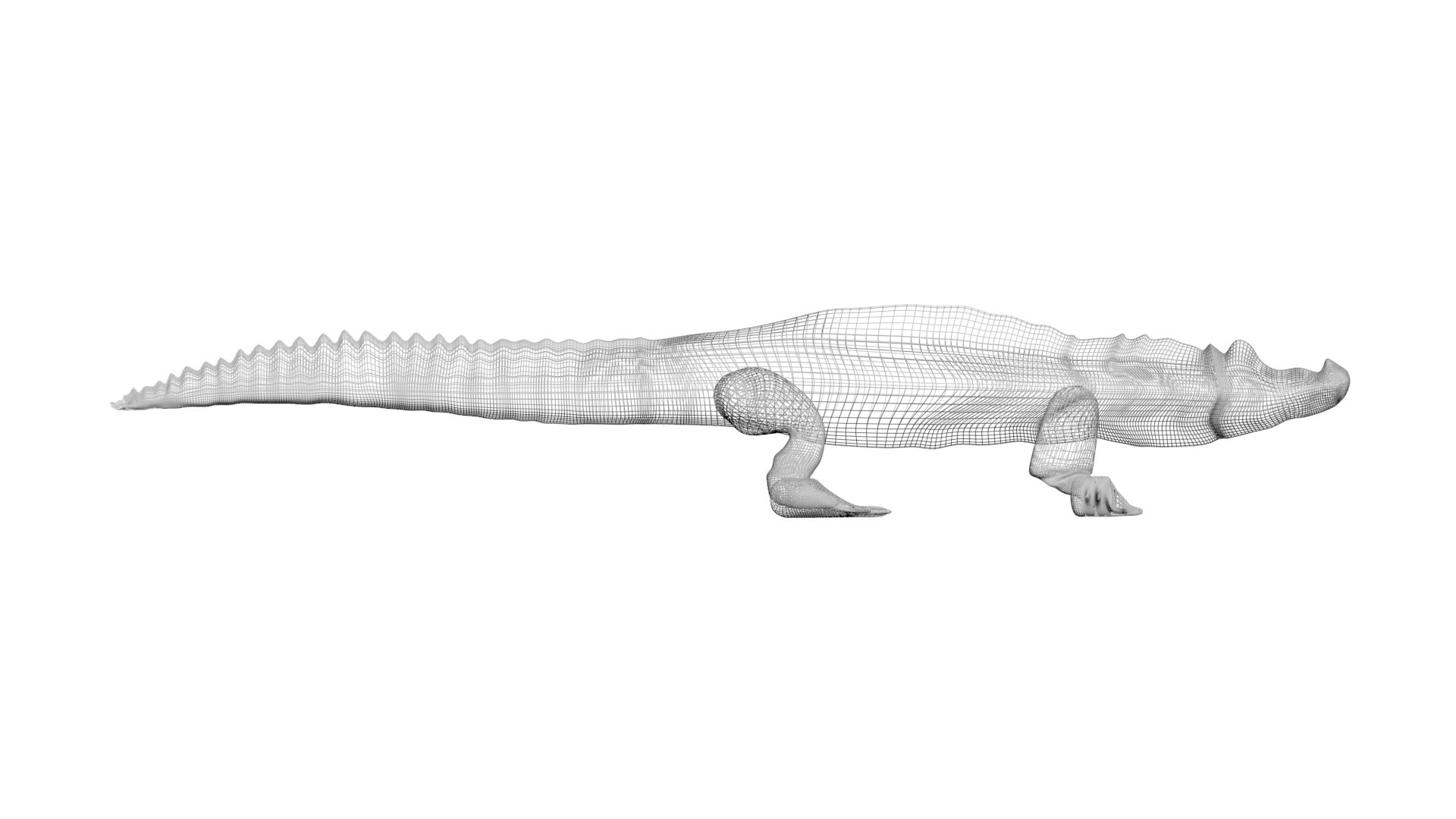 Baby Crocodile 3D Model - TurboSquid 1926709