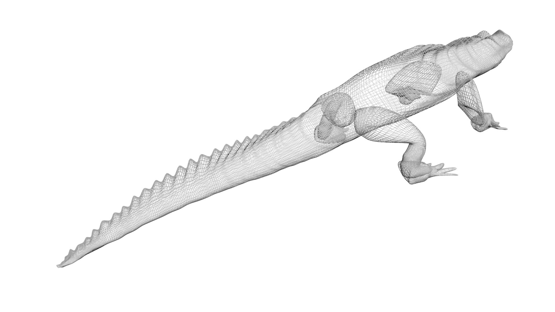 Baby Crocodile 3D Model - TurboSquid 1926709