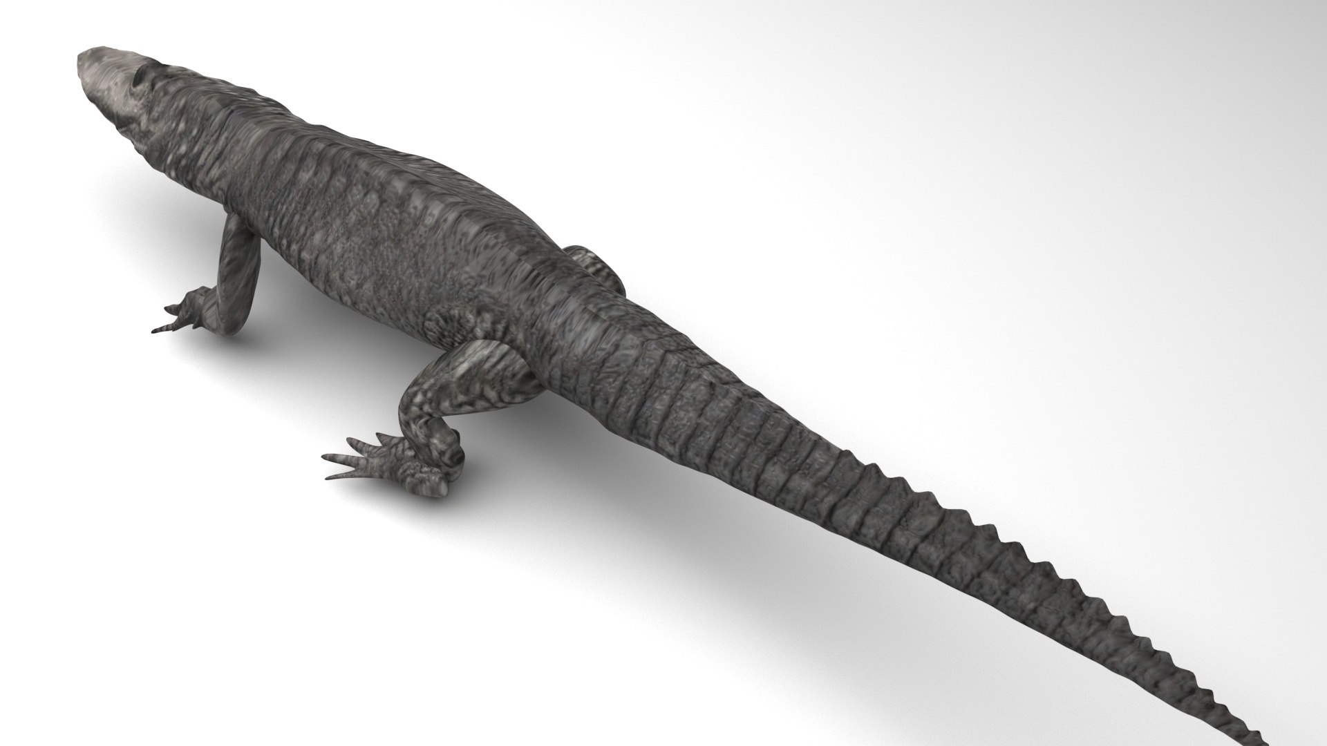 Baby Crocodile 3D Model - TurboSquid 1926709