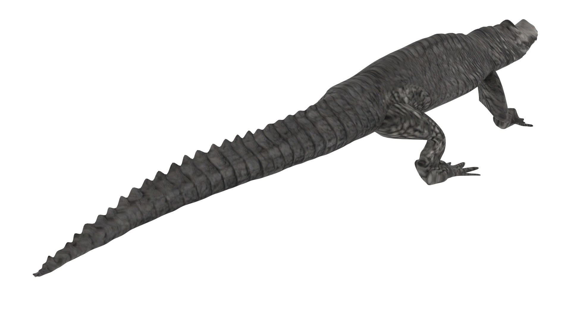 Baby Crocodile 3D Model - TurboSquid 1926709