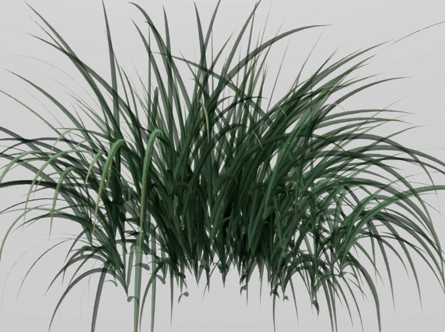 3D Reed Plant Model1 - TurboSquid 2379241