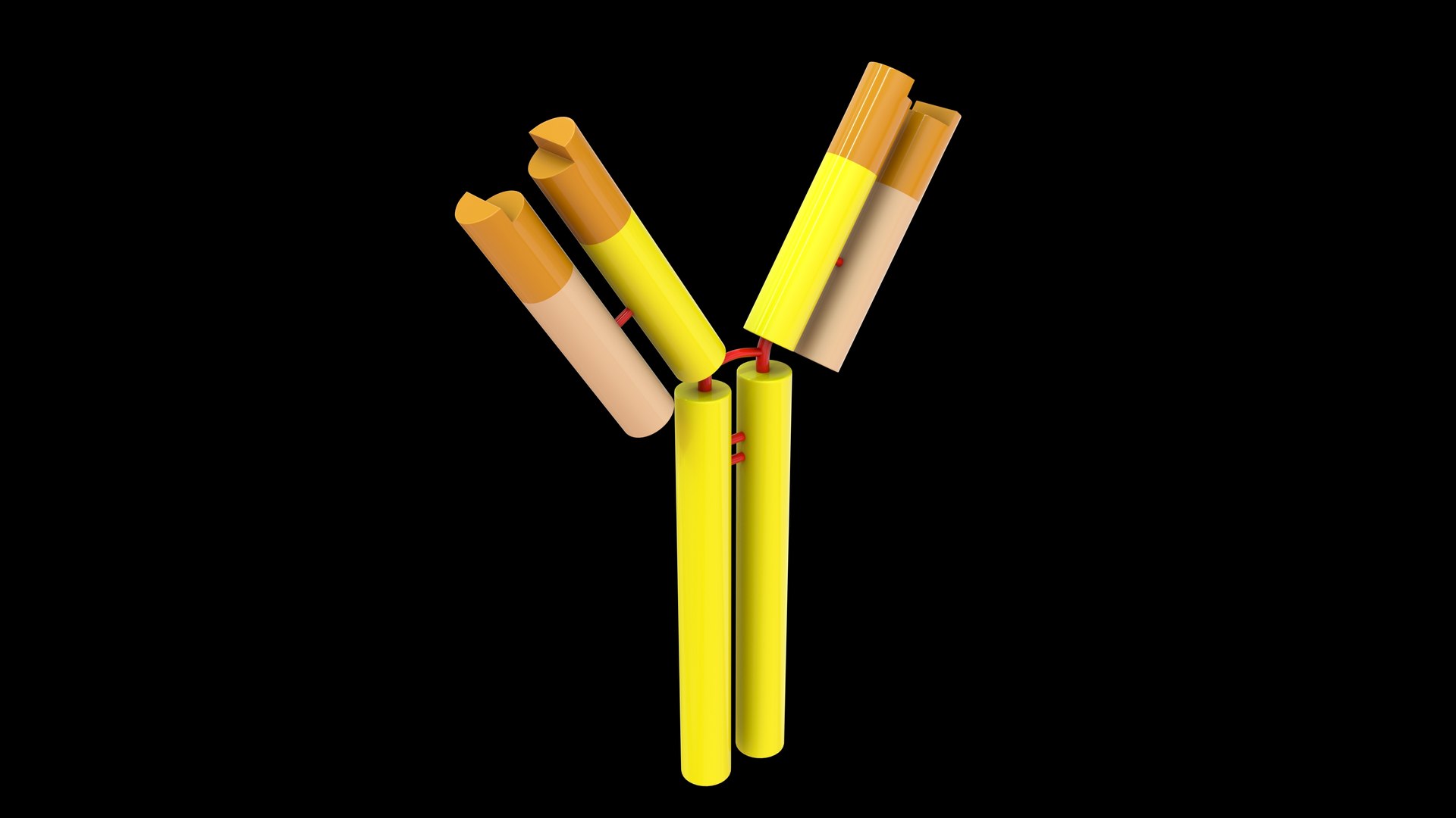 IgG Structure 3D - TurboSquid 2190077