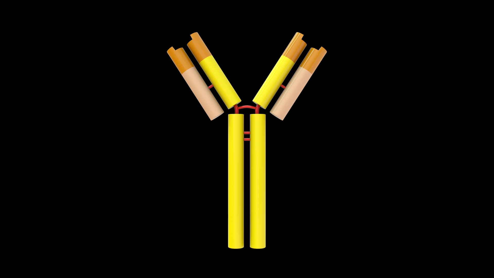 IgG Structure 3D - TurboSquid 2190077
