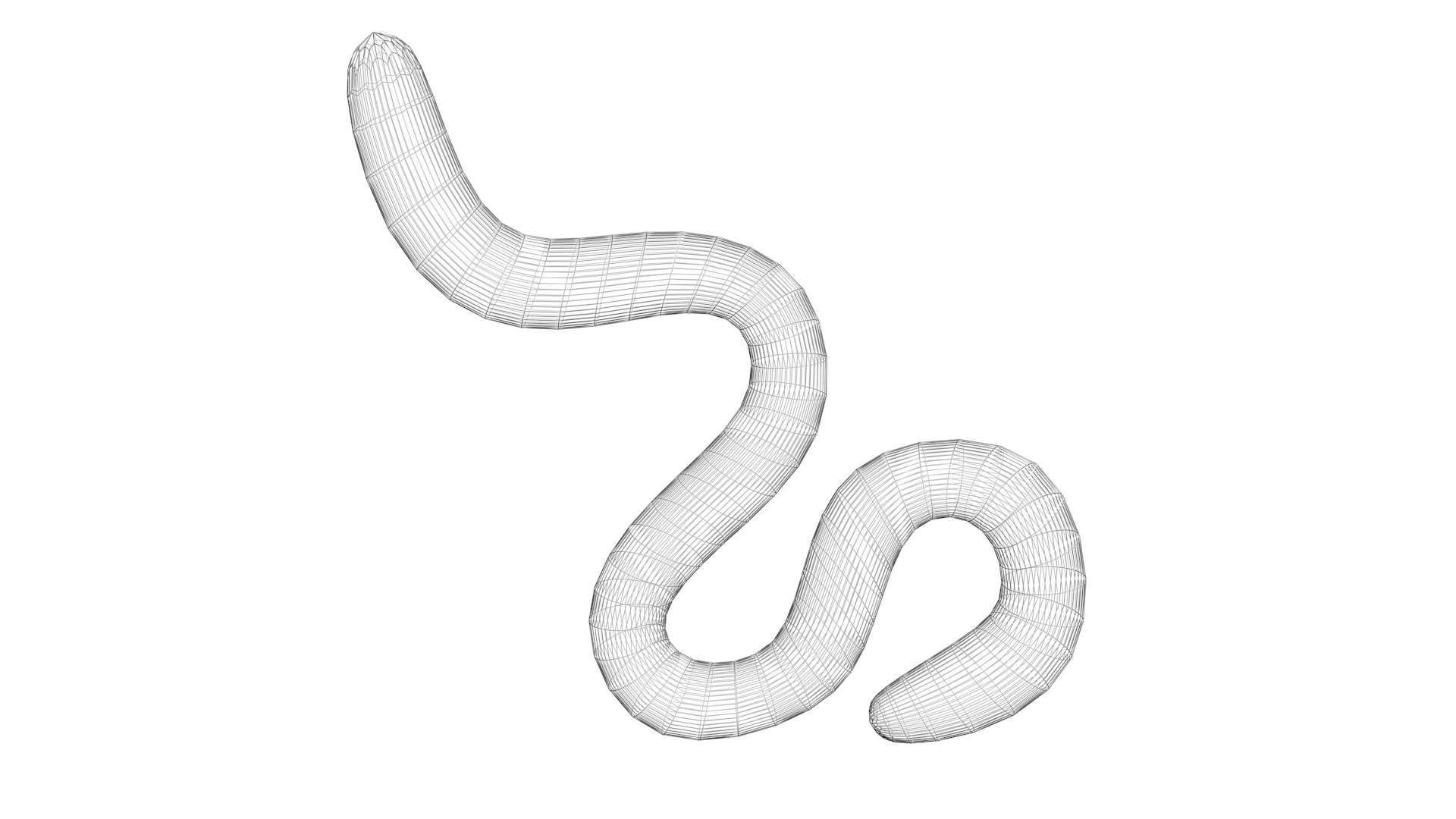 3D Model Earthworm - TurboSquid 2280337
