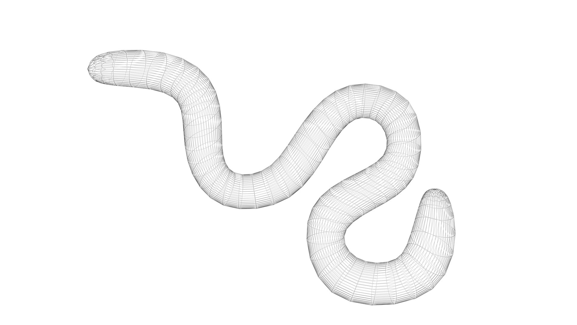 3D Model Earthworm - TurboSquid 2280337