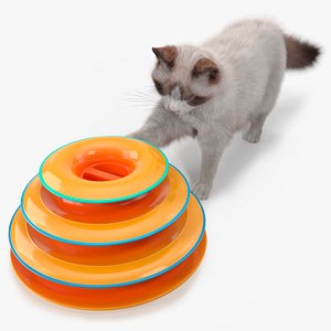 Low Poly 3D Maya Cat Models For Download | TurboSquid